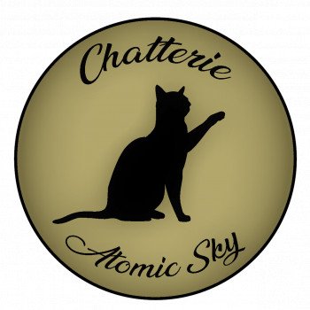 A propos de nos Bengal - Chatterie d'Atomic Sky